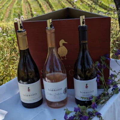 Blog | Tango Wine Tours